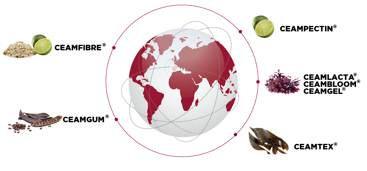 We are Compañia española de algas marinas | CEAMSA